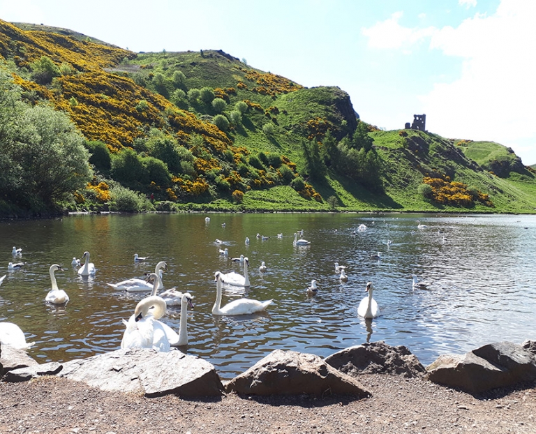Guided Bike Tours - Cycle Tours Edinburgh - e-bikes, electric bicycles ...
